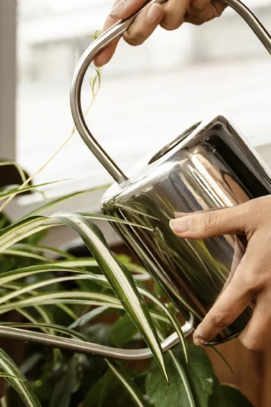 Well Water Solutions | Leaf Home Water Solutions